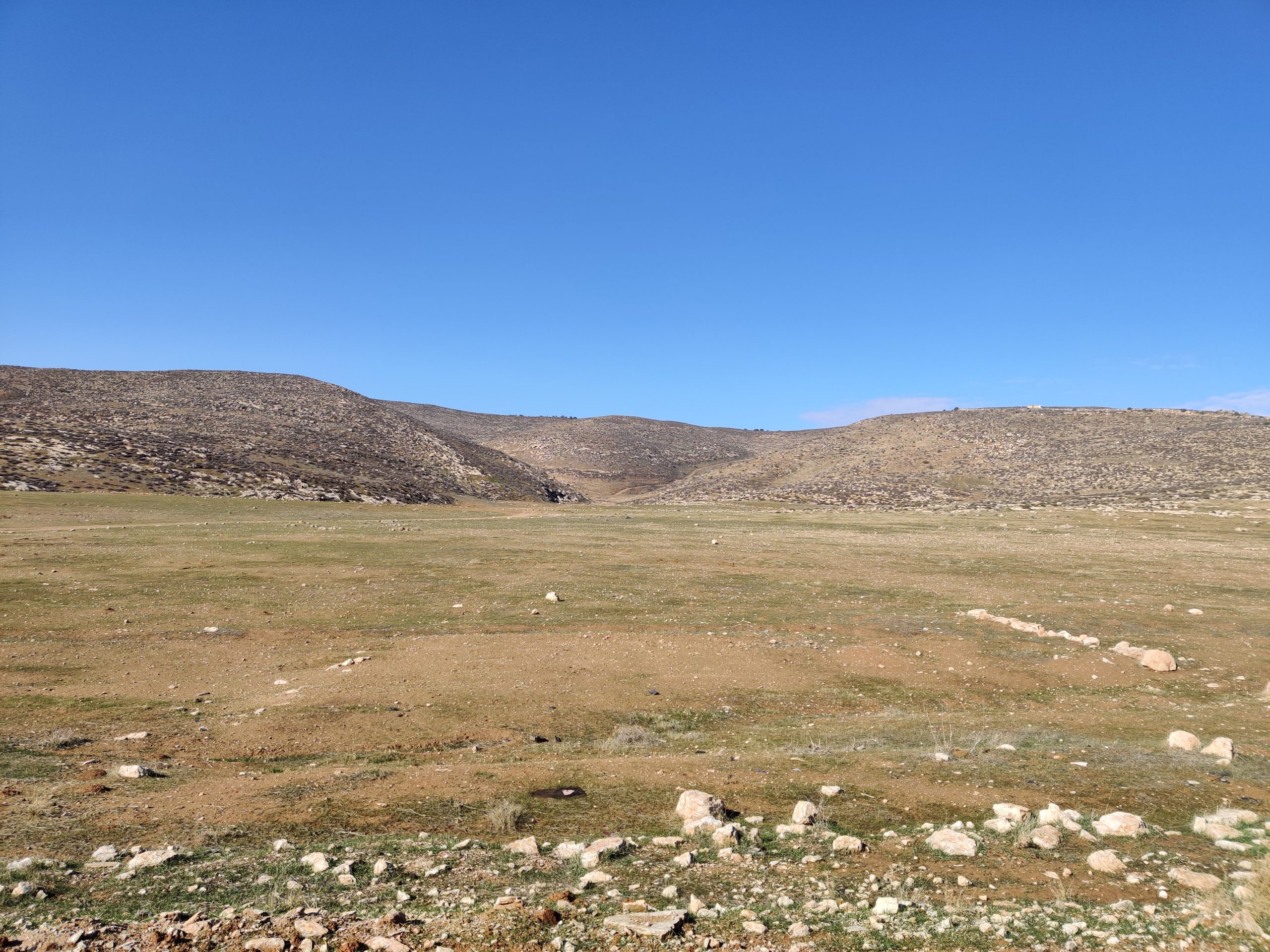 Mount Amasa and Ashalim - Winter Wheatears and African Swamphens